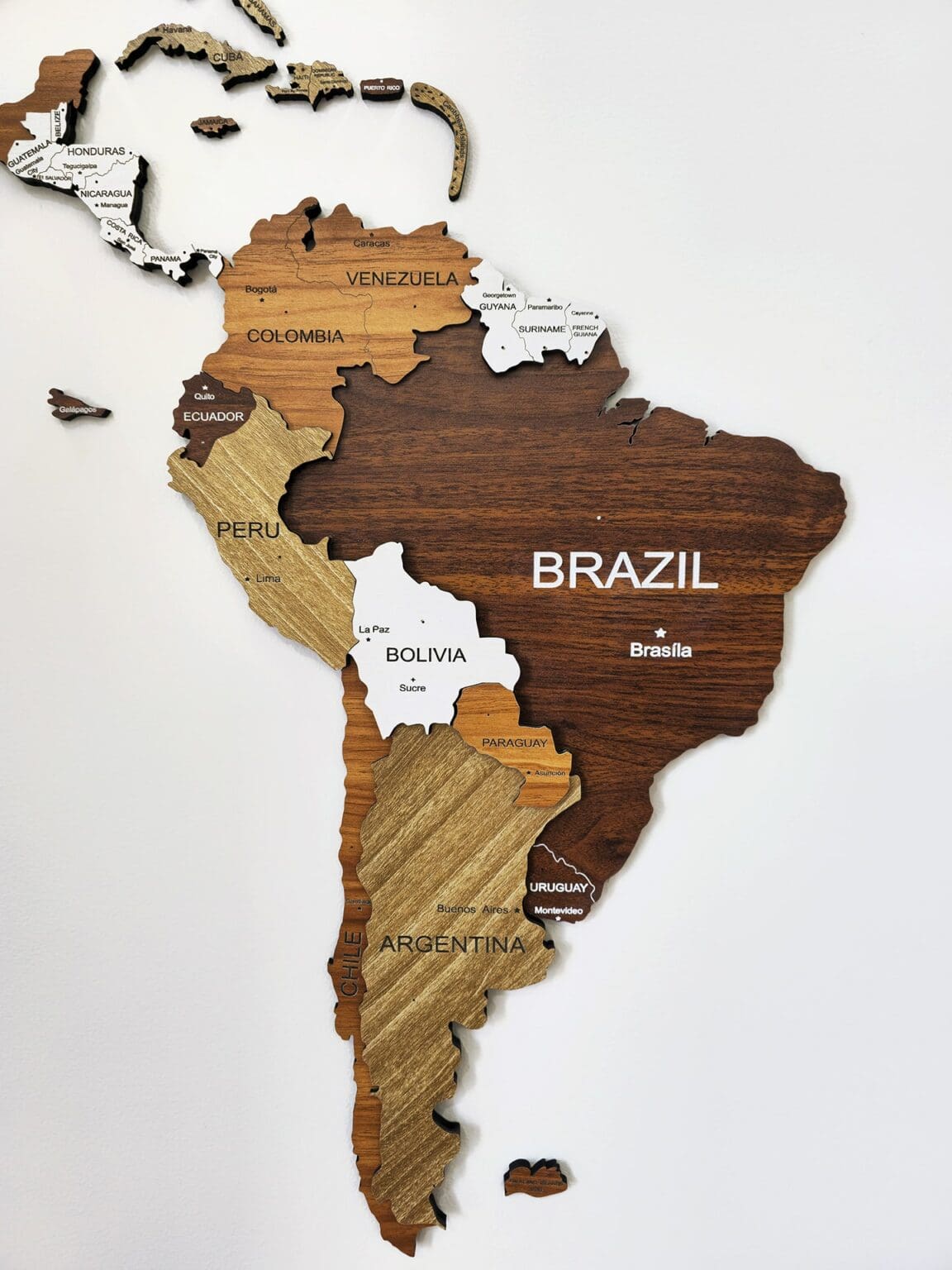 Bản Đồ Thế Giới Bằng Gỗ 3D - Mix 4 màu (Butter) - Woodencore